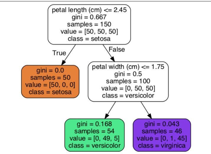 Decision Trees: Visualization and Predictions in ML